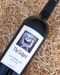 Now and Zin: The Culprit 2009 Red Wine (California)
