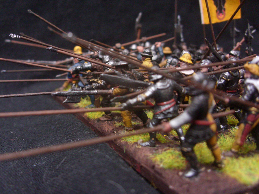 Paul´s Bods: Swiss Pike block