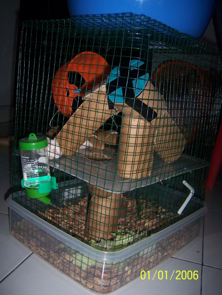 HamsterkuBali: Membuat Kandang Hamster Sendiri