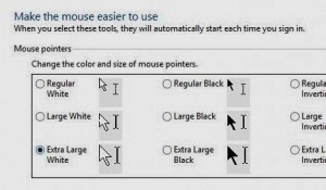 Enlarge your mouse pointer - Find Tech Tricks