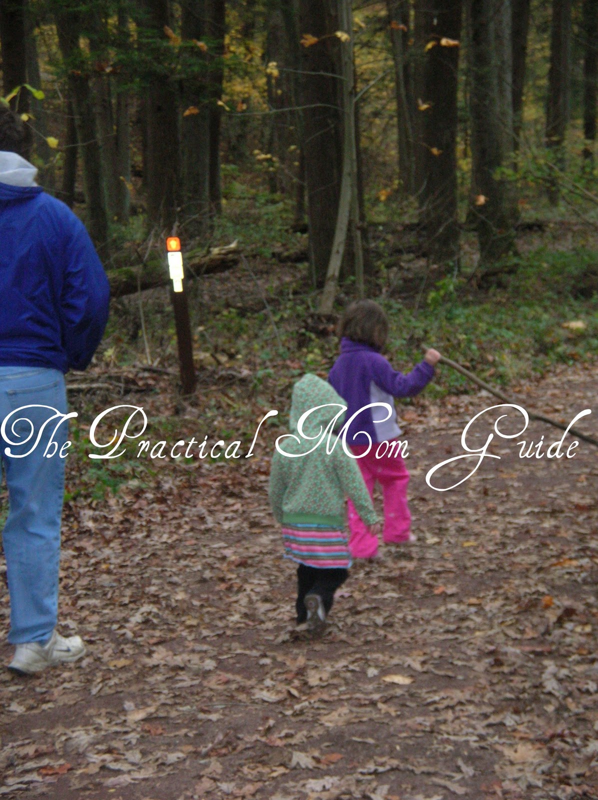 The Practical Mom Guide: 2011