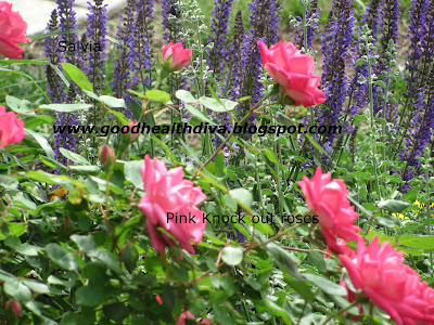 Natural Fit Life-Healthy Can Be Done!: The benefits of gardening: A ...