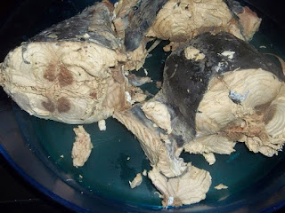 Recette du thon conserve Fait maison