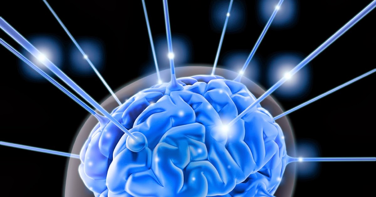 ¿Cuáles son los instintos humanos más importantes? - Apuntes ...