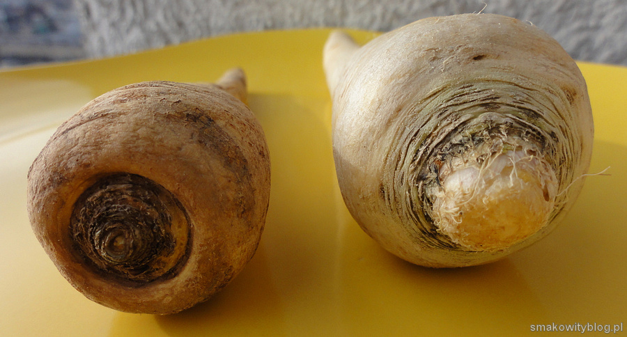 Pasternak zwyczajny - Smakowity blog