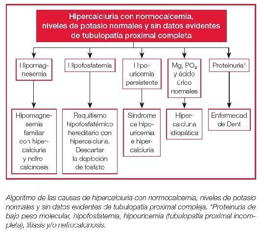 Laboratorio deTerapia Intensiva: Algoritmo de hipercalciuria ...