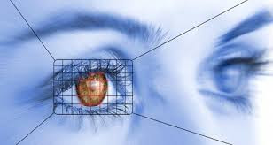 MOSCAS VOLANTES - MIODESOPSIAS: agosto 2016