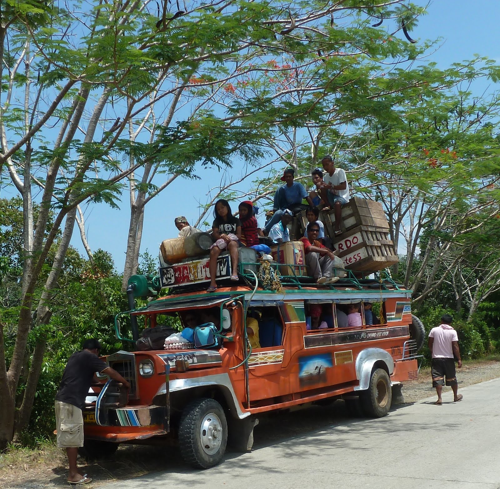 Beyond the Peace Corps and Through the Looking Glass: The Amazing ESPs ...