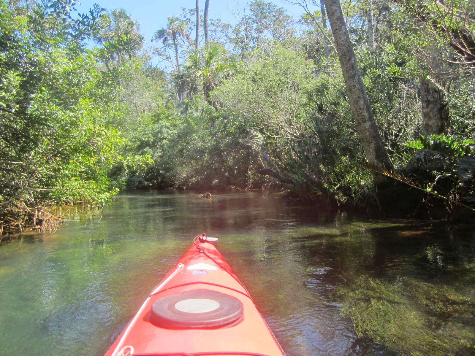Dave's Yak Tales: Weeki Wachee, Mud River, and Salt Spring