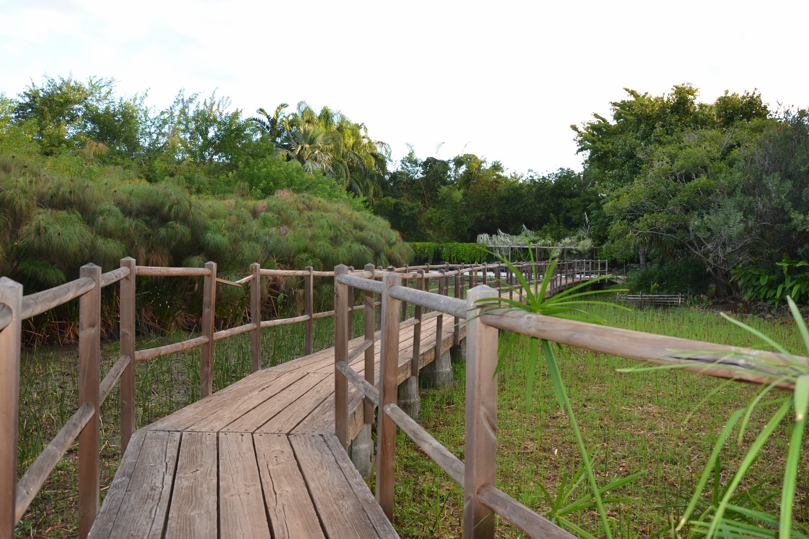 Les voyages d'Isa: La Réunion 974, 2011 à 2014