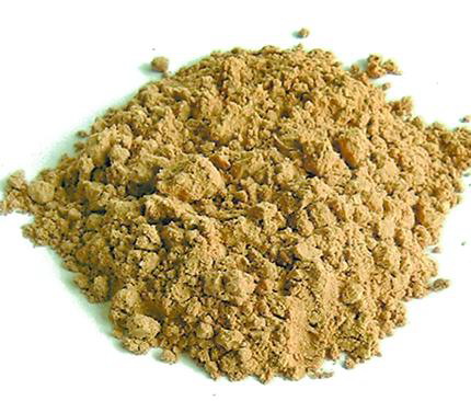 O Que é Quitosona - Emagrecimento - Siga a Saúde - Dicas de Saúde, Bem ...