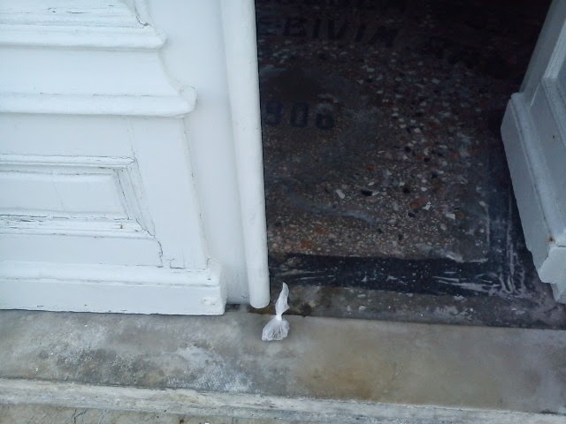 Pag - moj grad: travnja 2011