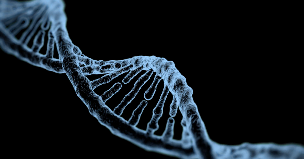 Dr Michael G Strauss: Adam and Eve: Genetic Evidence