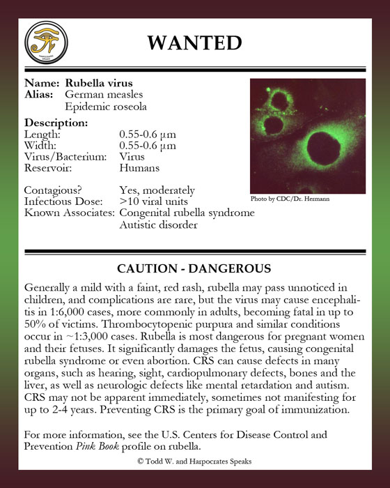 Harpocrates Speaks: Wanted: Rubella virus