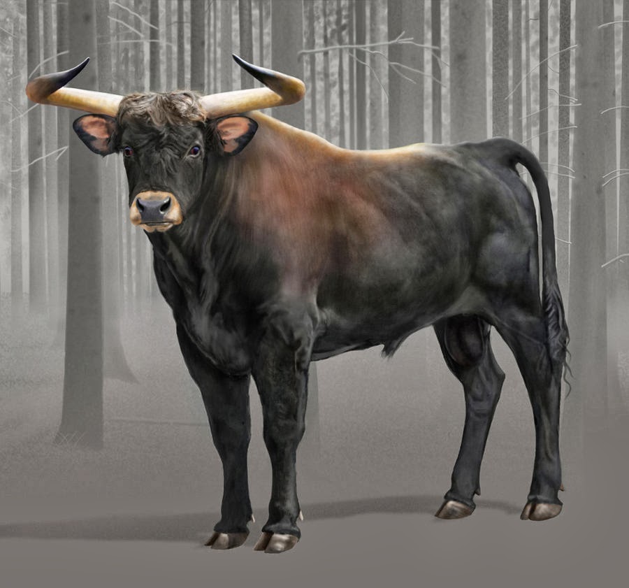 Souljournaler: October 2013