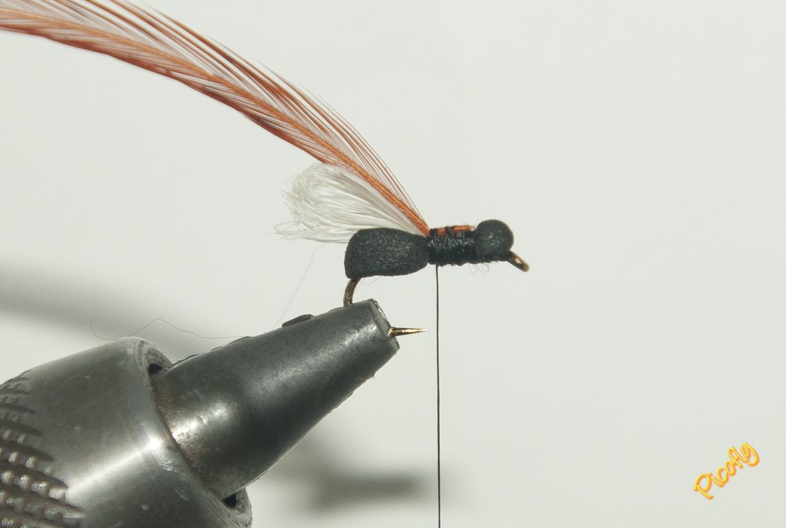 MONTAJES DE MOSCAS PASO A PASO DE PICOFLY: Hormiga alada (alua)