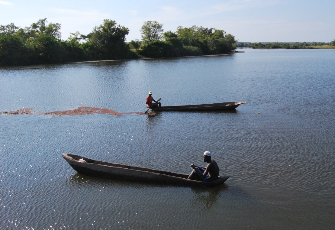 Luís Graça & Camaradas da Guiné: 01/05/11 - 08/05/11