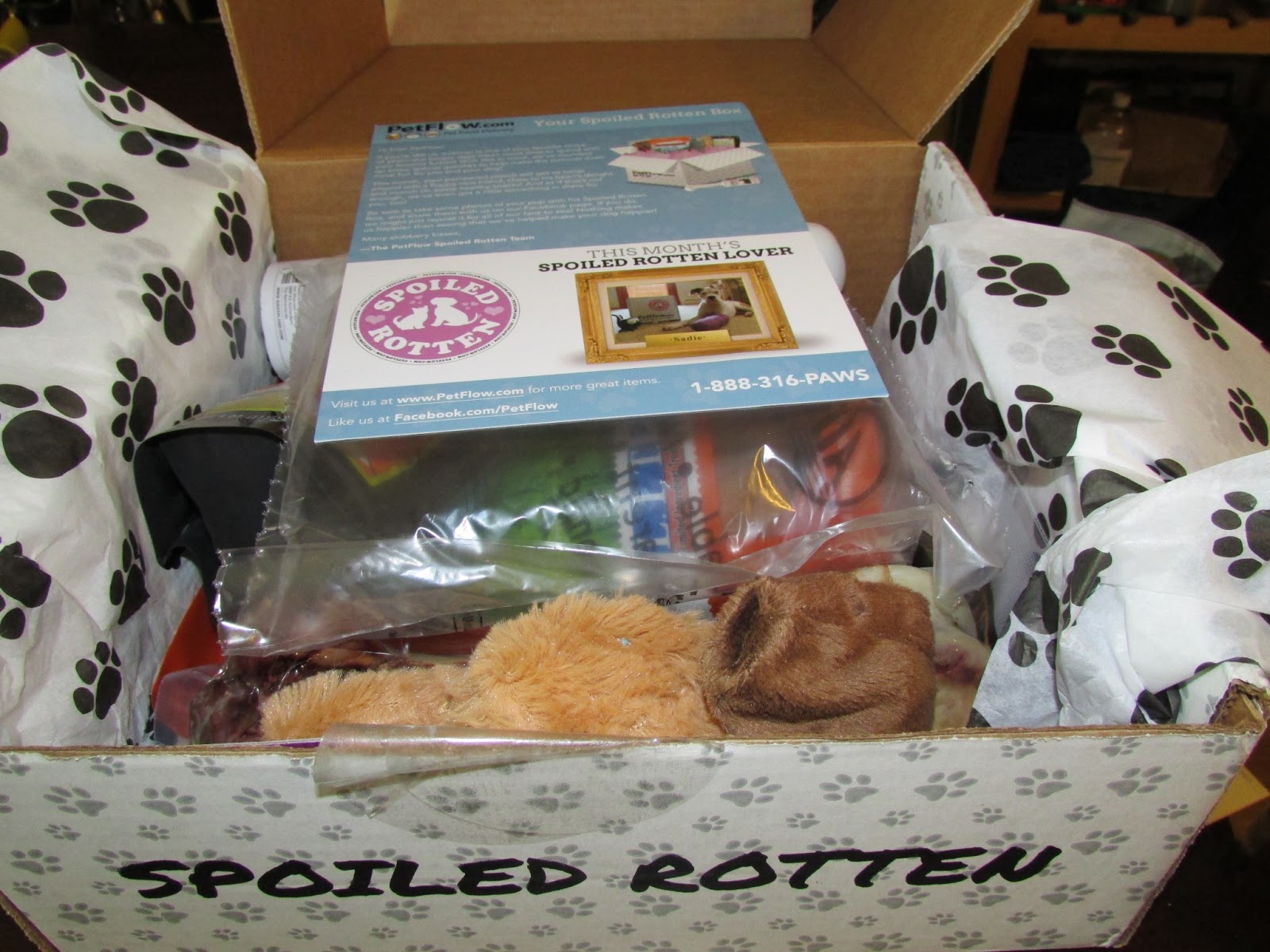 My Rotten Dogs: July 2013 Spoiled Rotten Box Review