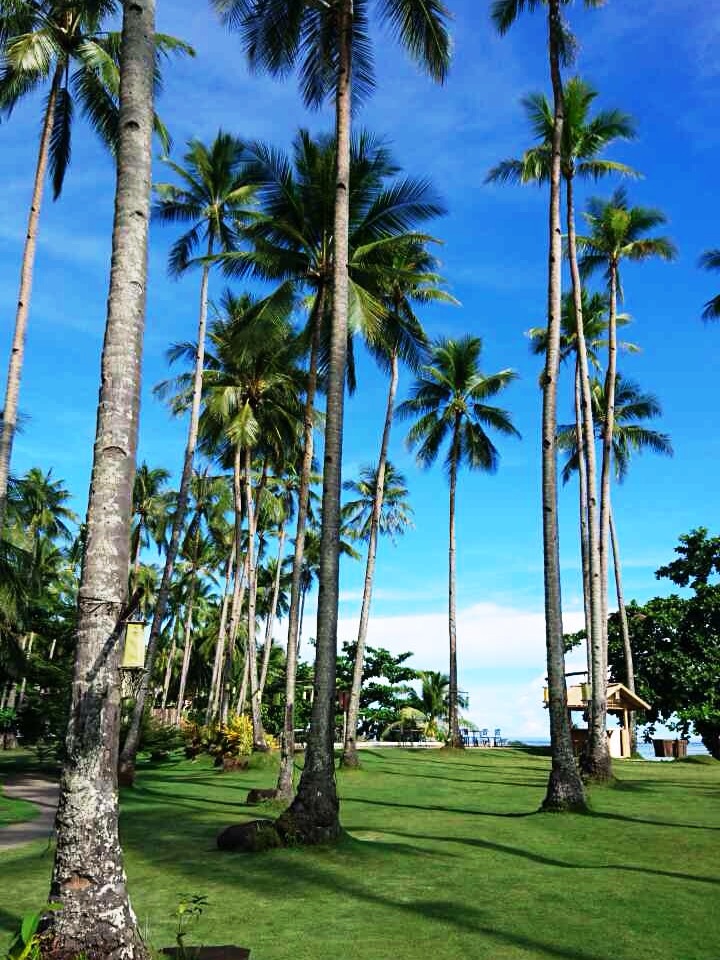 Juan Trip At A Time: Kuting Reef Resort: Southern Leyte's Intimate Secret