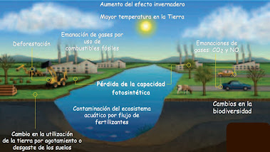 Los Ciclos En La Naturaleza