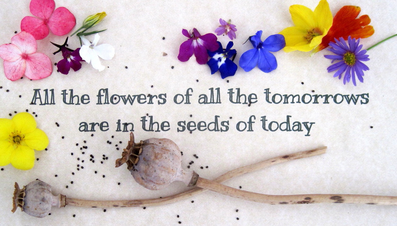 Flutterby Patch: July 2011