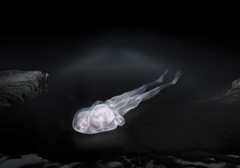 ArtHouse: Visible Human Project - Wikipedia, the free encyclopedia