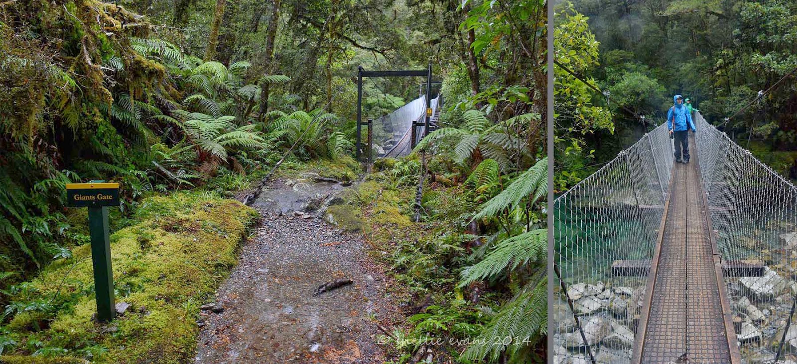 Two Go Tiki Touring: Rain & the Milford Track