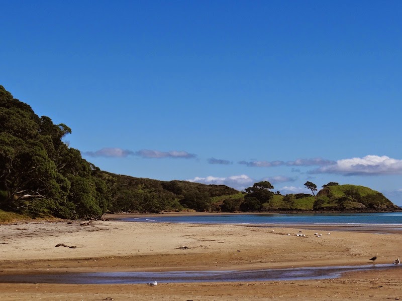 A Hebridean in New Zealand: Northland: The Beaches of Doubtless Bay