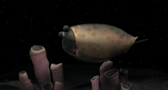 Life Before the Dinosaurs: Odaraia.