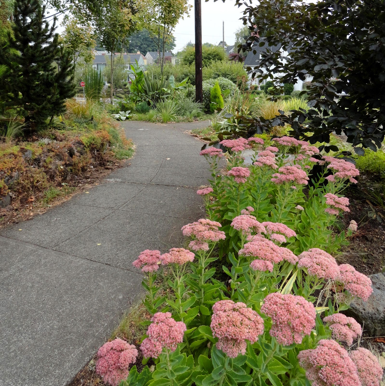 danger garden: Hellstrip Gardening, by Evelyn J. Hadden