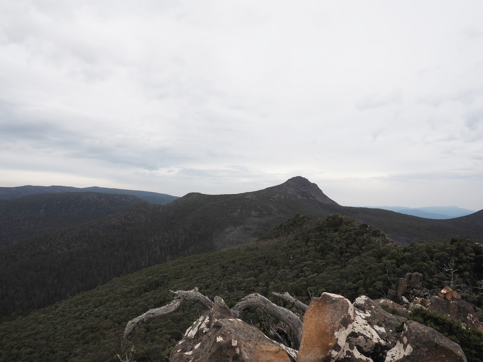 Collins Cap Circuit | Hiking South East Tasmania