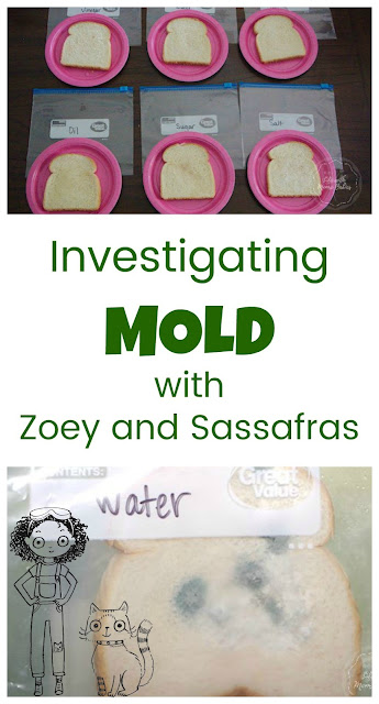 Growing and Preventing Mold a Science Experiment for Kids - Life with ...