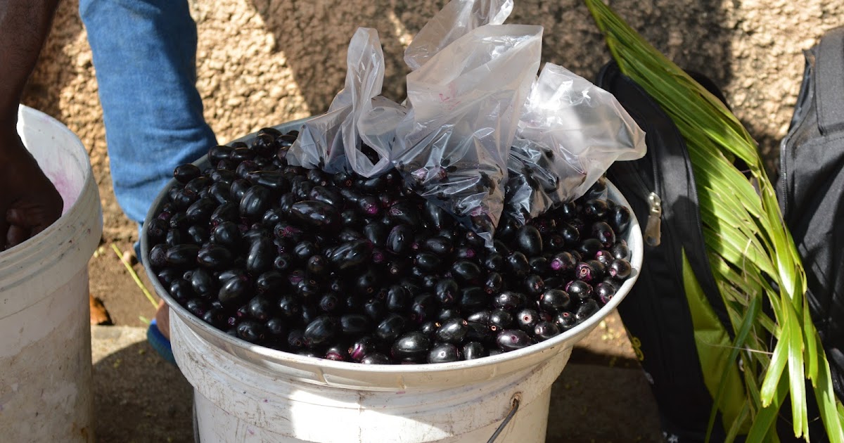 JAMBLON czyli Czapetka Kuminowa