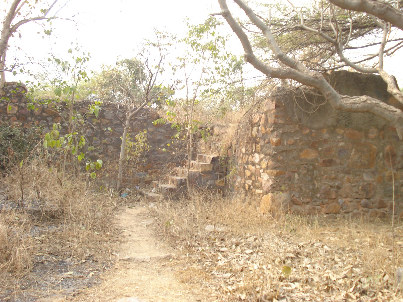 DHAROHAR HERITAGE CLUB: Heritage Walk to Adopted Monument Bhuli ...