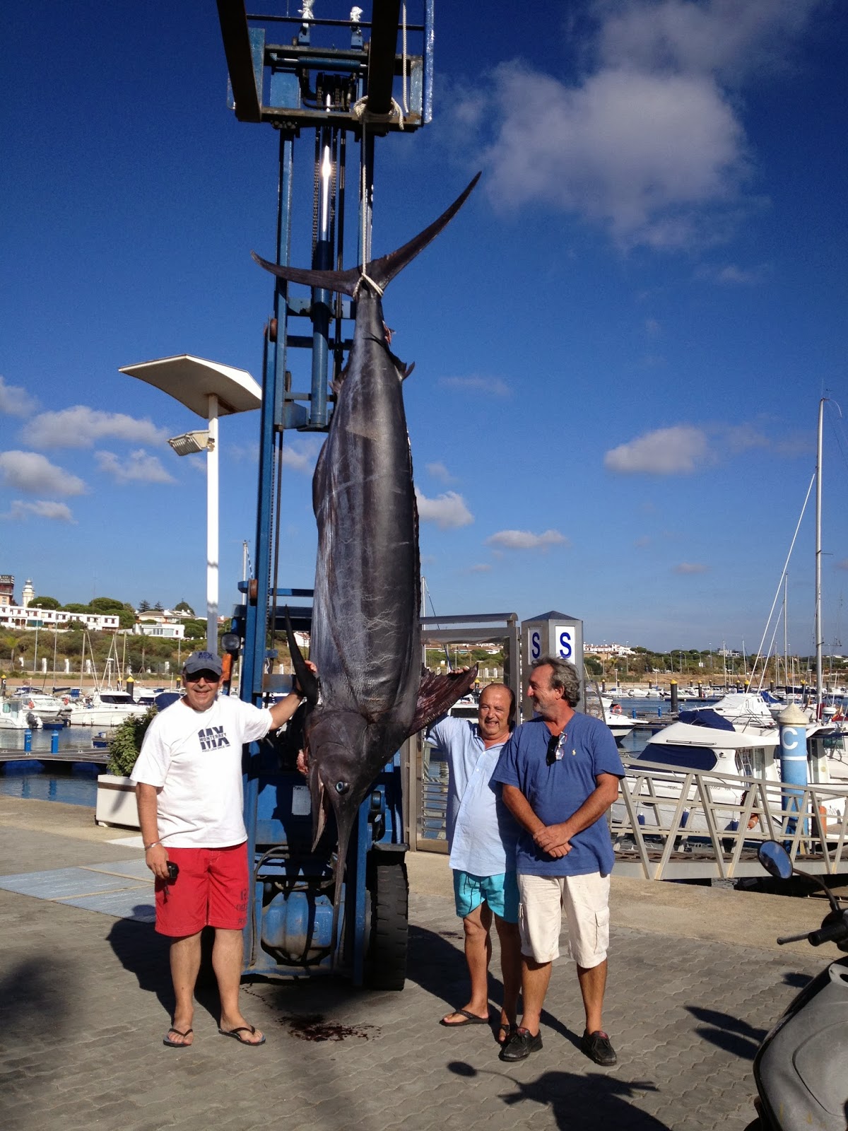 MAZAGÓN BEACH: PESCAN UN MARLIN AZUL DE 300 KILOS
