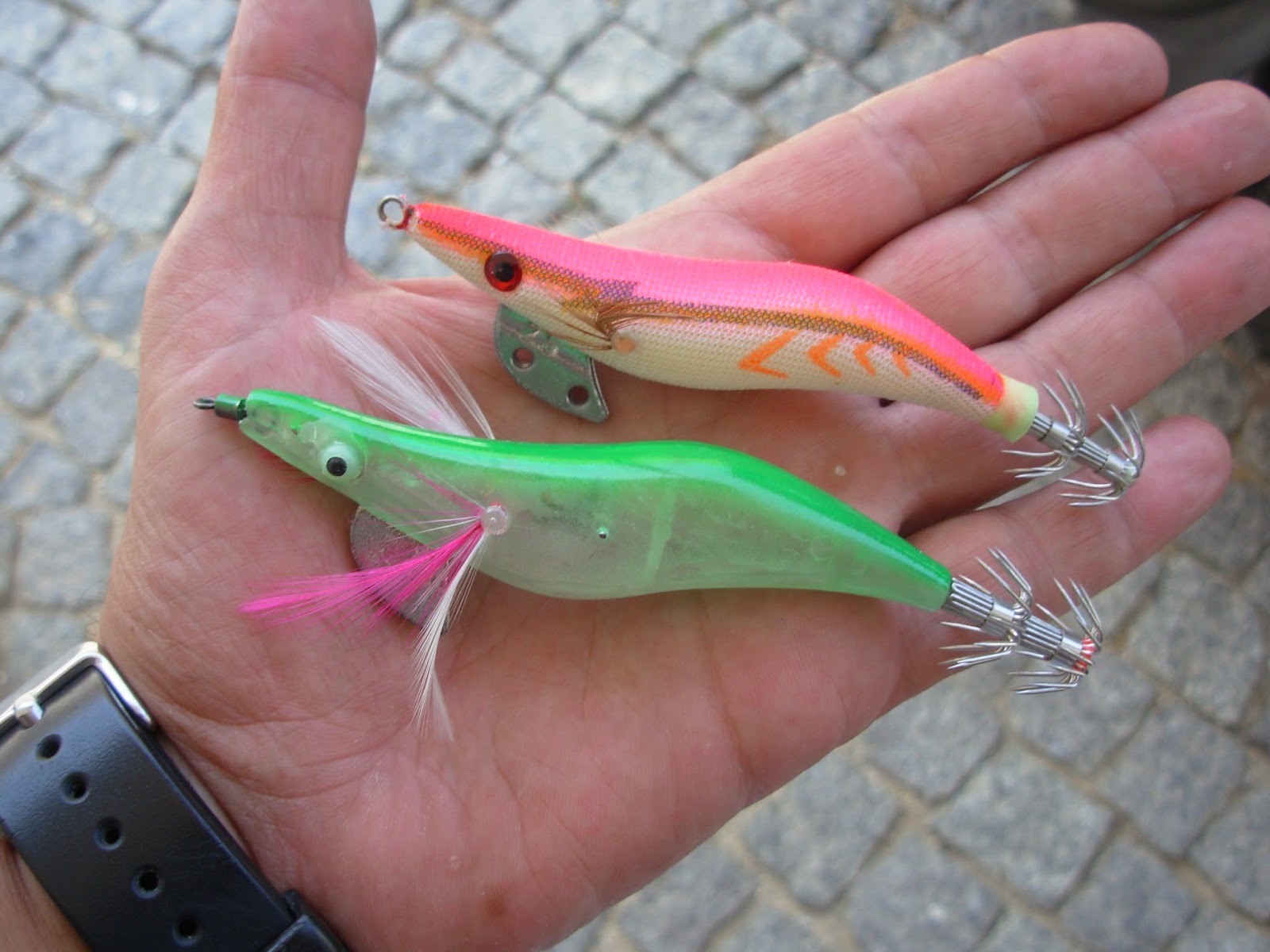 Cuttlefish fishing from shore with rod ~ Ocean Bounty