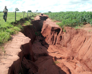 BIBOCA AMBIENTAL : EROSÃO