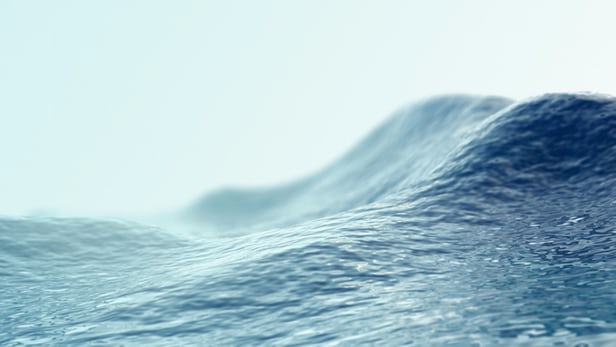 The Jungle Surfer: BIGGEST WAVE OF ALL TIME 19 M