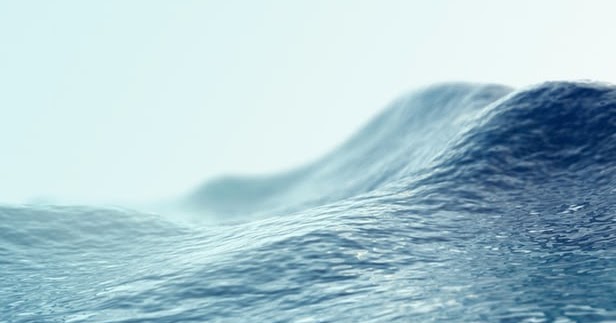 The Jungle Surfer: BIGGEST WAVE OF ALL TIME 19 M