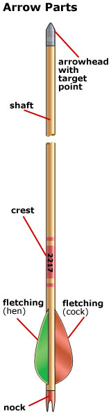 PHYSICAL EDUCATION LESSON PLANS: Individual/Dual Sports Handouts and ...