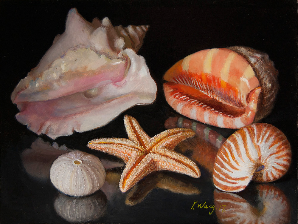 Wang Fine Art: seashells still life oil painting original contemporary ...