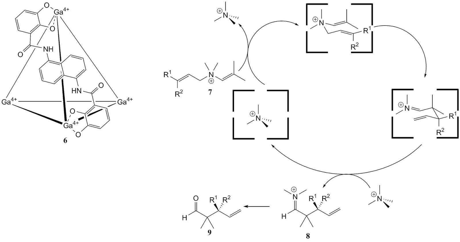 Self-Assembled Metal Cage Complex Catalysis