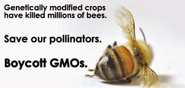 Corona Apicultores: TRASTORNO DEL COLAPSO DE LAS COLMENAS (CCD)