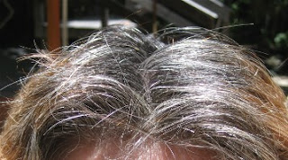 The Natural Idea: Coloring Your Hair with Natural Sage Rinse - for ...