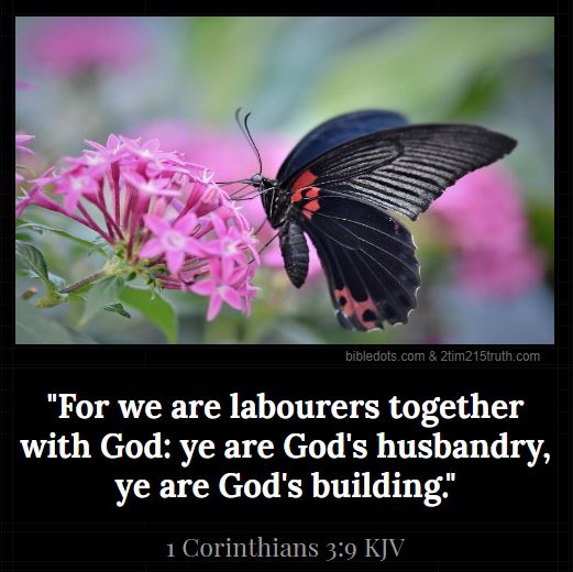 2 Timothy 2:15 Truth: Verse of the Day: 1 Corinthians 3:9 KJV