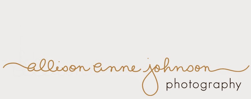 allison anne johnson photography