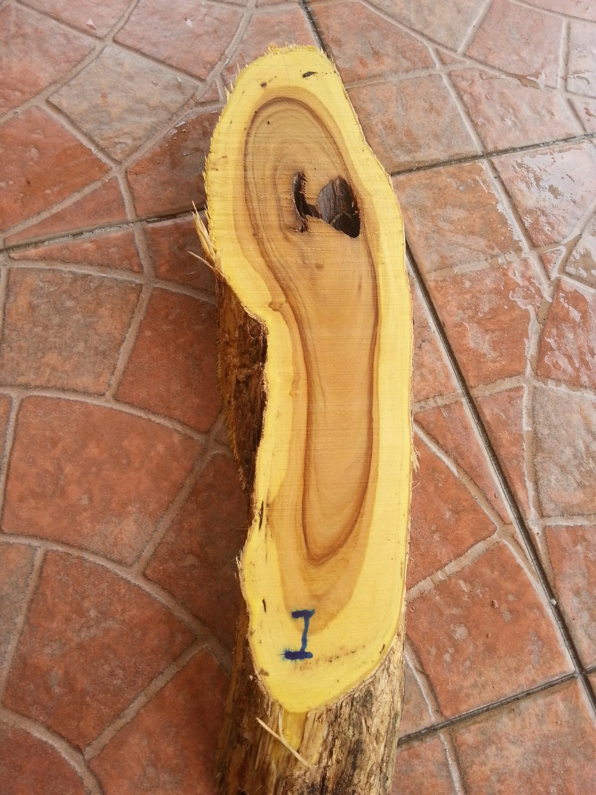 Kayu Warisan Malaysia: Kayu Kemuning emas