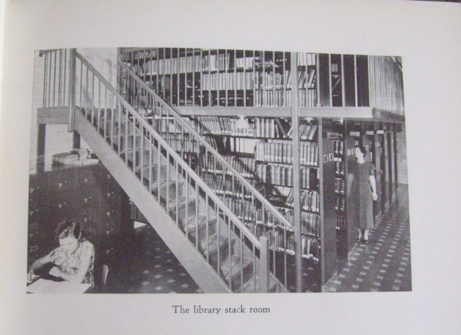 My Sentimental Library: The Book-Buying Binge of a Booklover