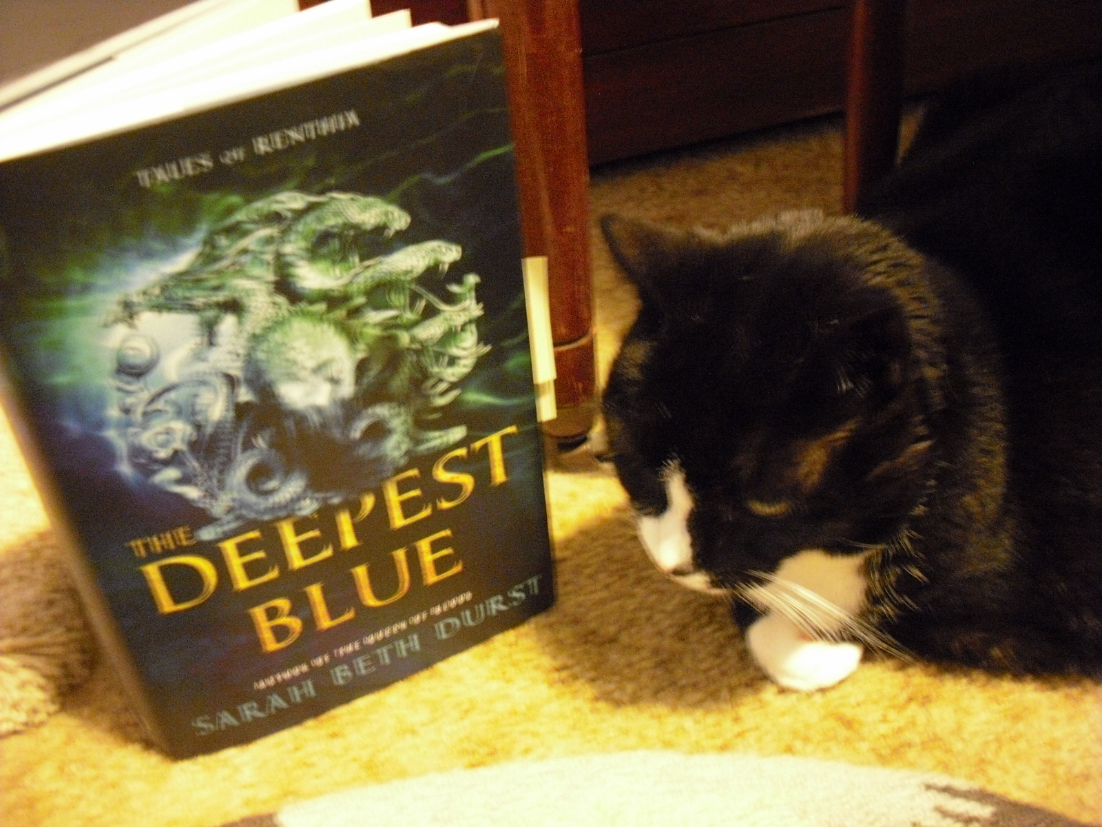 Grab A Book From Our Stack: "The Deepest Blue" by Sarah Beth Durst ...