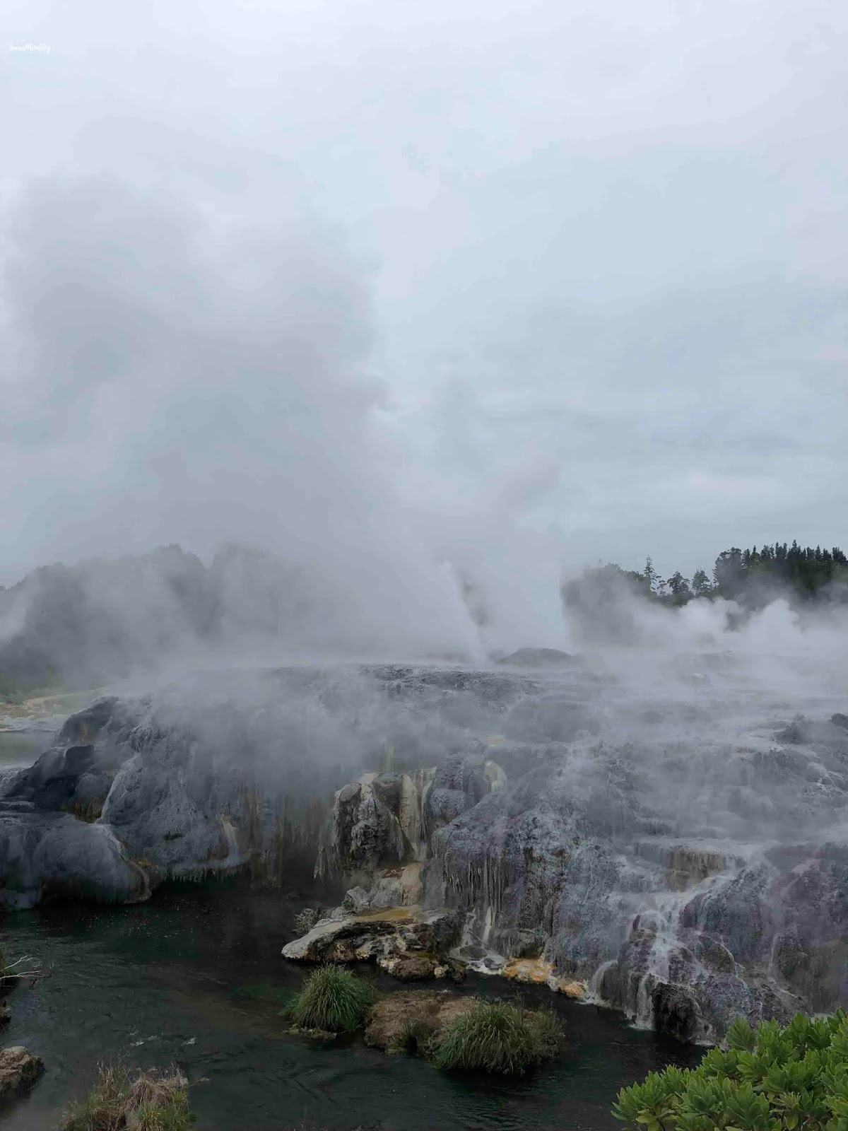 Hawaii Mom Blog: Visit Rotorua: Te Puia